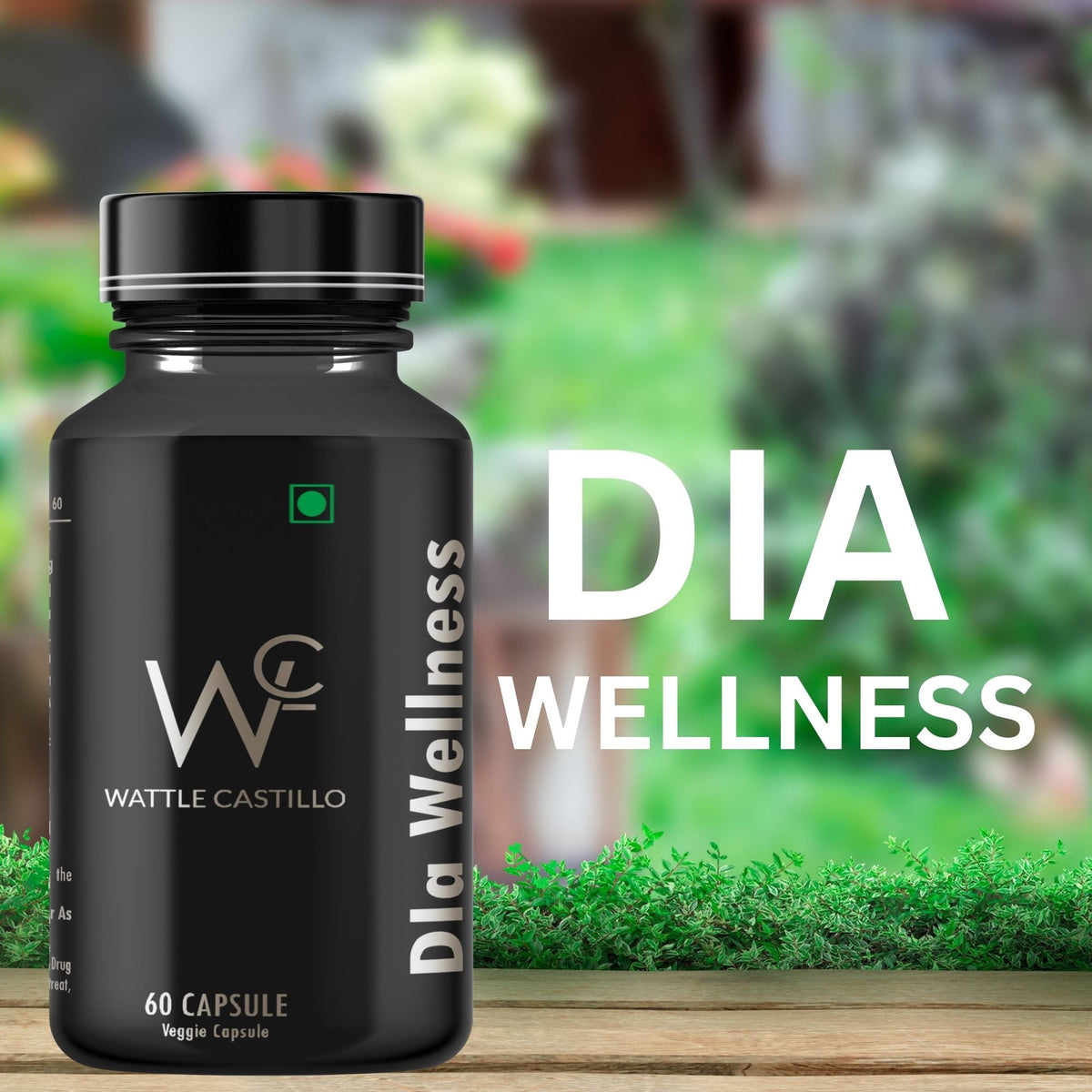 Dia Wellness manage blood sugar levels Herbal Capsule- Treat Diabetes ...
